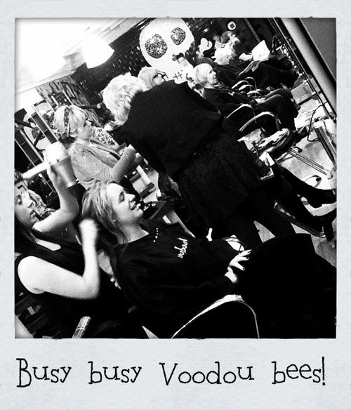 A busy day in Voodou